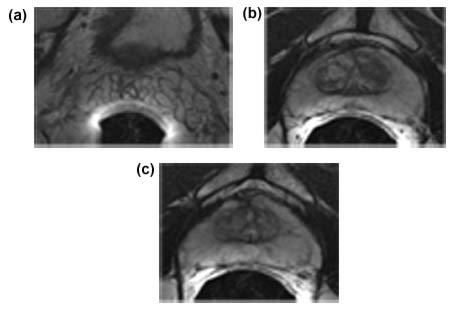 Gallery: Image (230)