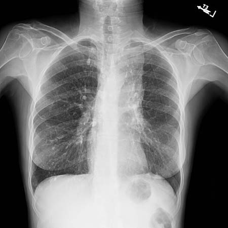 Gallery: Image (627)