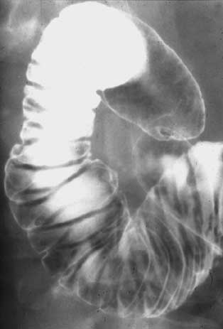 Gallery: Image (260)